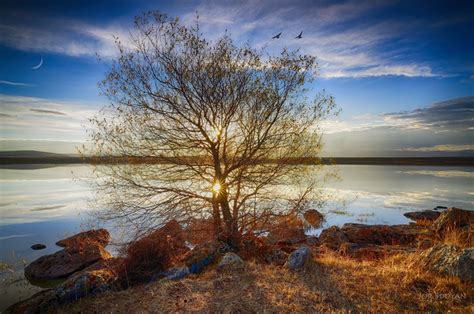 პასკიას ტბა ზრესკის ტბა ახალქალაქის რაიონი • About Ge