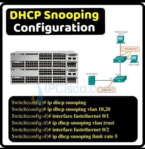 Cisco Ccna Networkengineer