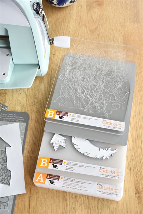 Woman In Real Life A Diy Cricut Cuttlebug Feather And Foliage Mobile