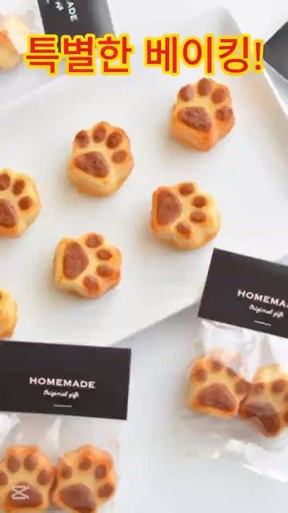 아이들을 위한 특별한 베이킹~ 베이킹 베이킹도구 고양이 빵만들기 빵 Shorts Youtube