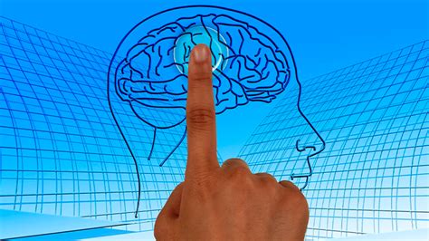 El Hábito Menos Pensado Que Afecta La Salud Del Cerebro La Región