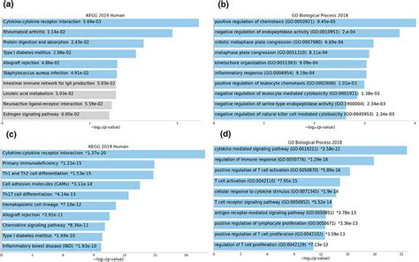 Kegg And Go Functional Enrichment Analysis Of Qualified Modules In The Download Scientific