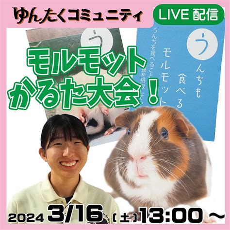 ゆんたくコミュニティ限定配信「モルモットかるた大会！」 沖縄こどもの国｜ゆんたくコミュニティでずっと応援！（沖縄こどもの国okinawa