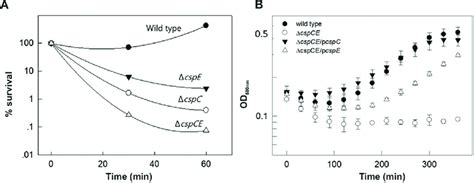 CspC And CspE Are Involved In Serum Resistance The Experiment Was Download Scientific Diagram