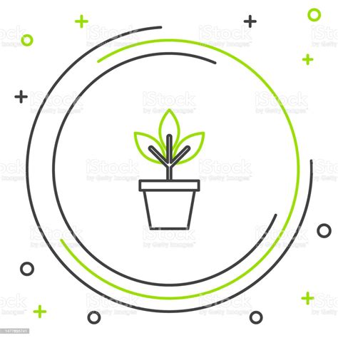 흰색 배경에 고립 된 냄비 아이콘의 검은 색과 녹색 라인 꽃 냄비에서 자라는 식물 화분에 심은 식물 표지판 다채로운 개요 개념 벡터 일러스트레이션 0명에 대한 스톡 벡터