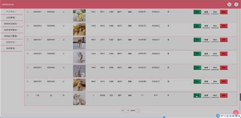 Springboot毕设项目宠物交流管理平台j9d6q（javavuemybatismavenmysql）springboot宠物