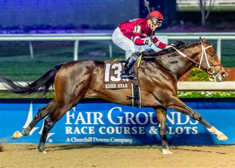 Bloodlines Presented By Walmac Farm Risen Star Winner Magnitude Has Roots In The Darley Program