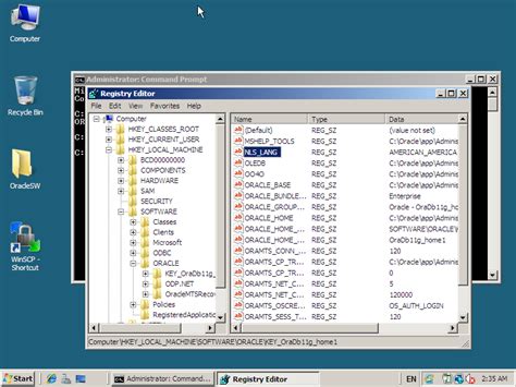 oracle database explained by naga appani setting nls lang on windows for oracle database