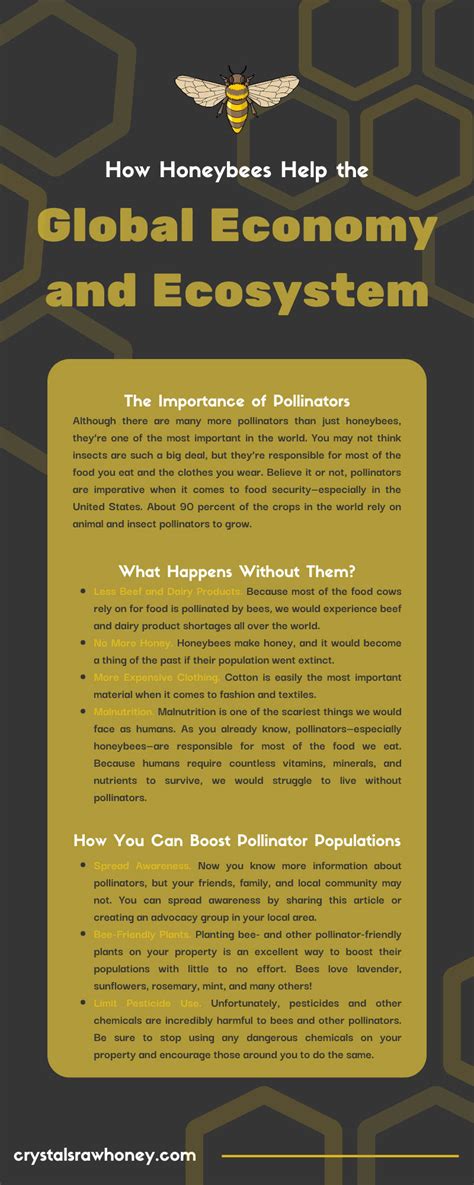 How Honeybees Help The Global Economy And Ecosystem