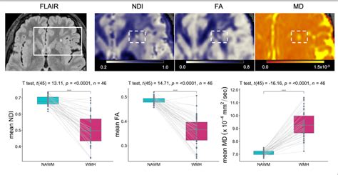 White Matter Microstructural Properties Of Small Wmh In Mri Share The Download Scientific