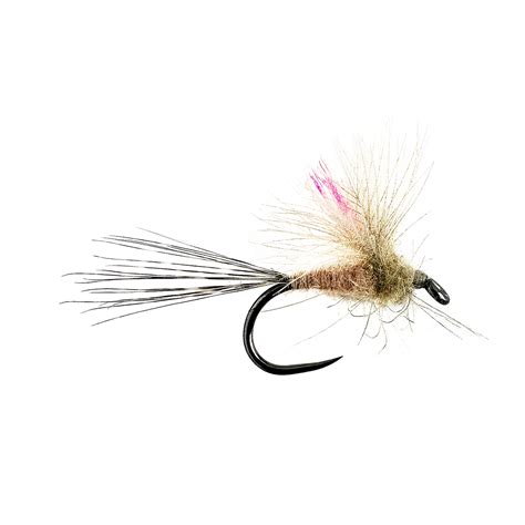 Baetis Pink Dun Spanish Ballina Angling Centre