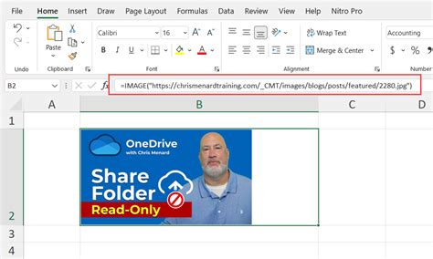 Excel Image Function Chris Menard Training