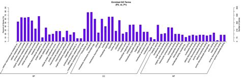 Circular RNA Sequencing CircRNA Seq Novogene
