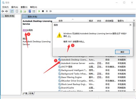 Autodesk系列软件安装错误1603，手动安装autodesk Desktop Licensing Service之后，启动服务提示错误