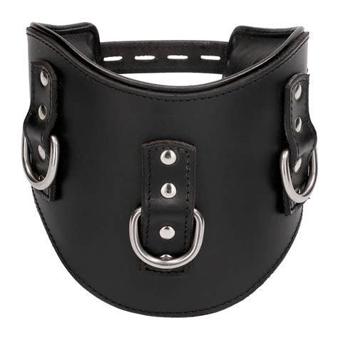 Heavy Duty Black Leather Padded Posture Collar Mythplay
