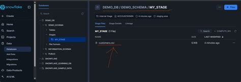 Clean And Transform Raw Data Using Sql Inside Snowflake Beginners