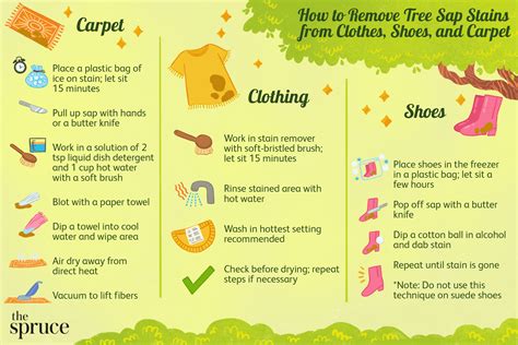 How To Remove Tree Sap Stains From Clothes And Home Fabrics
