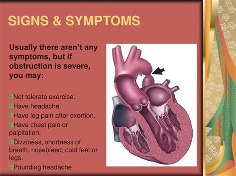 Ppt Coarctation Of The Aorta Powerpoint Presentation Free Download