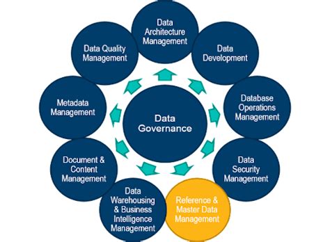 Master Data Management