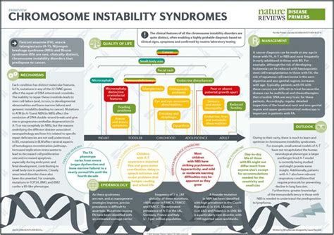 Chromosome Instability Syndromes Nature Reviews Disease Primers X MOL