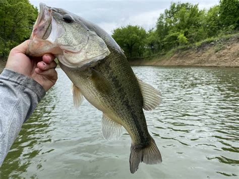 12 Great Bass Fishing Lakes In Oklahoma Best Fishing In America