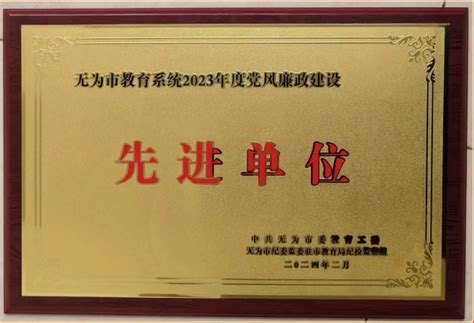 党建引领 科研兴校芜湖电缆工业学校办学质量再获官方认证 安徽职教高考网