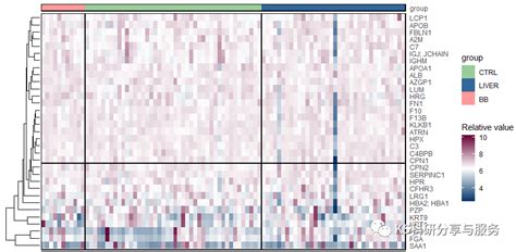 不好好做图的nsc系列十一个可以替代ggplot做热图的r包 Ggheatmap Csdn博客