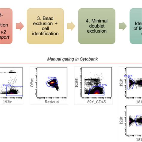 Data Processing Workflow Download Scientific Diagram
