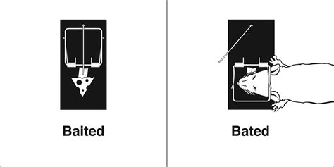 Homophones Weakly Baited Bated