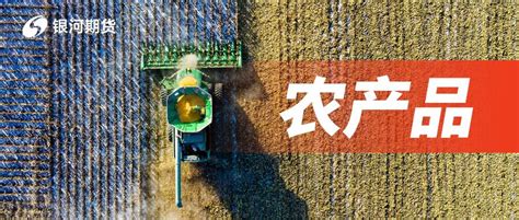 美国农业部报告大超预期，引发豆类玉米市场剧震！大豆、玉米等走势？ 知乎