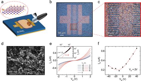 A Schematic Illustration Of The β‐inse Photodetector B Optical