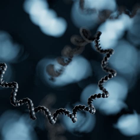 Positional Mapping Of Active Versus Silenced Rrna Gene Clusters Within