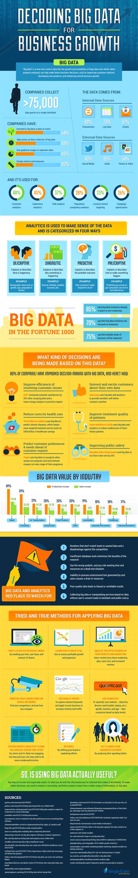 Decoding Big Data For Business Growth Infographic