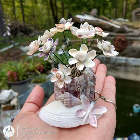 Sea Riffic Creations Makes Handmade One Of A Kind Shell Flowers