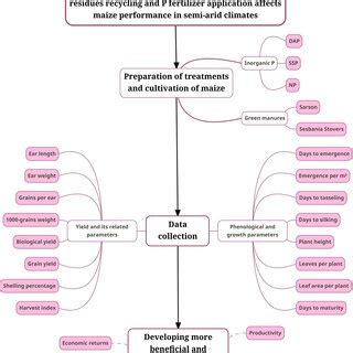 A Flowchart Showing Experiment Details And Features Measured Download Scientific Diagram