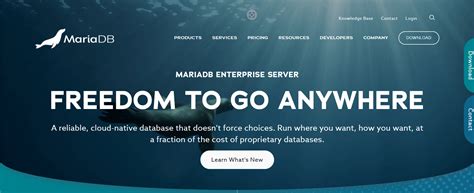 数据库传奇:mysql创世之父的两千金my、mariamariadb Mysql 创始人 Csdn博客 数据库传奇:mysql创世之父的两千金my、mariamariadb Mysql 创始人 Csdn博客