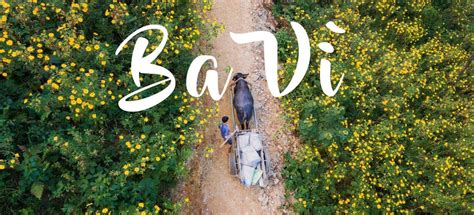 Vườn quốc gia Ba Vì Địa điểm trốn khói bụi 4 mùa