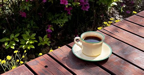 여행템 후기 여행에서도 갓 내린 커피가 그리울 때 홈 브루잉 키트