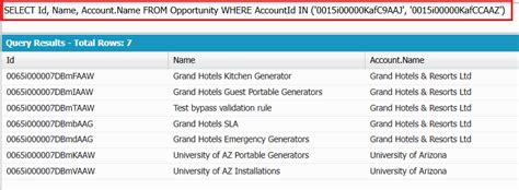 In Operatorclause In Soqlsalesforce Object Query Language