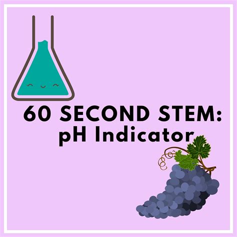 Second STEM PH Indicator