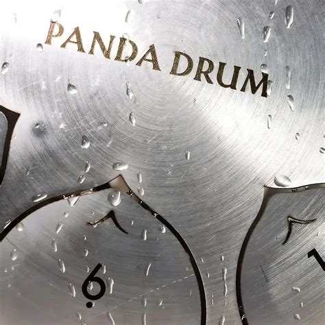 Panda Drum® • Rain Edition Stainless Steel Tongue Drum 8 Notes