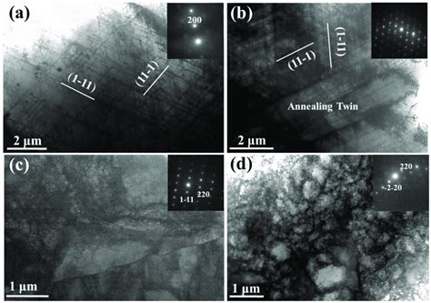 Tem Images Showing Typical Microstructures At The Depth Of ~300 µm From