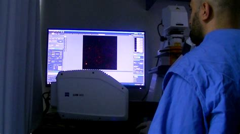 Video Evaluating Autophagy Levels In Two Different Pancreatic Cell