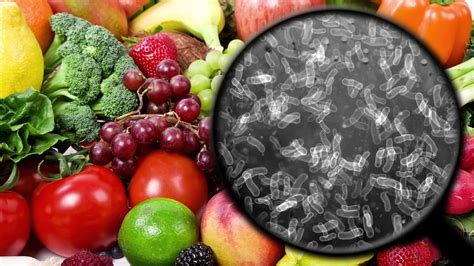 New Research Advances Industry Understanding Of Foodborne Bacteria