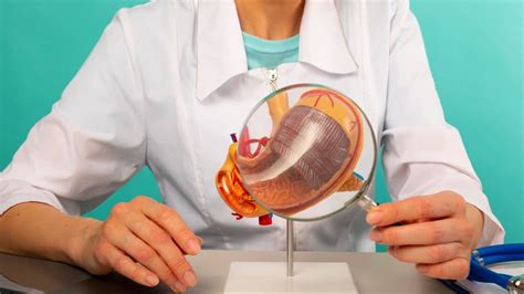 My Journey With Vertical Sleeve Gastrectomy A Pharmacists Transformation