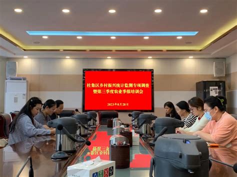 杜集区召开乡村振兴统计监测专项工作业务培训会 杜集区人民政府