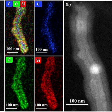 Transmission Electron Microscopy Tem Element Mapping Diagrams Of