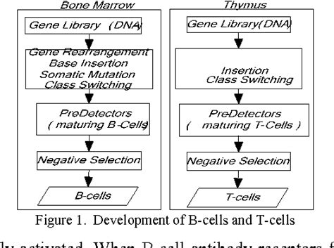 Figure 1 From A Novel Distributed Intrusion Detection Model Based On Immune Mobile Agent