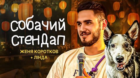 Собачий стендап Женя Коротков Собаку з притулку не пускають в Сільпо Youtube