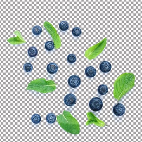 투명한 배경에 잎이 있는 블루베리 프리미엄 Psd 파일